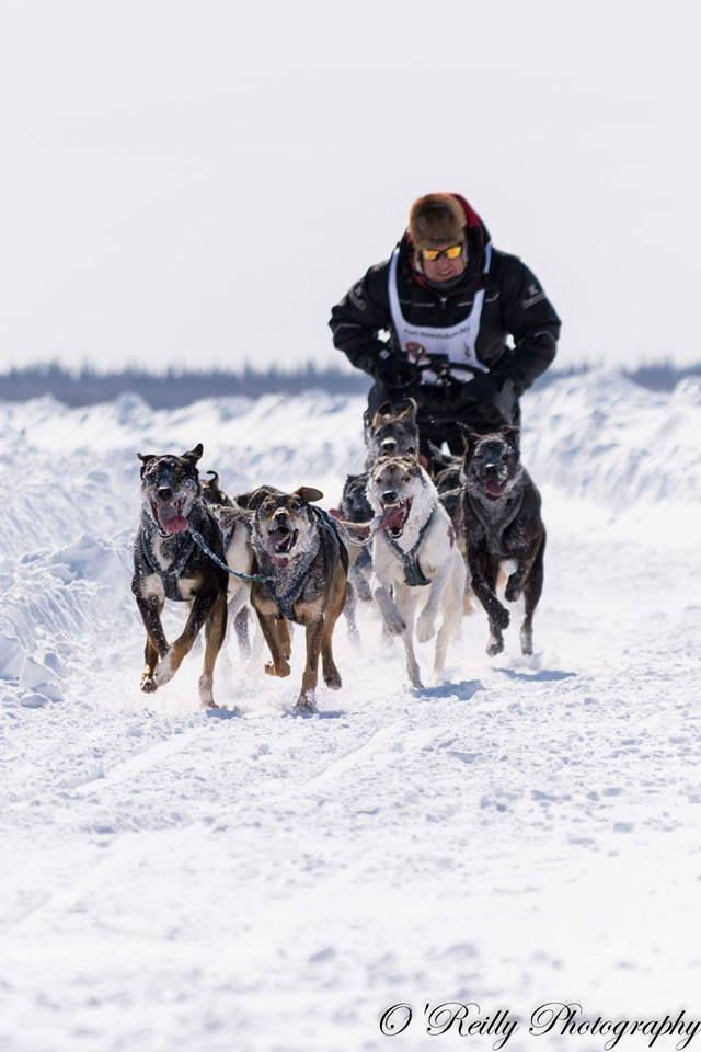 Canadian Championship Dog Derby: Who’s competing in 2019