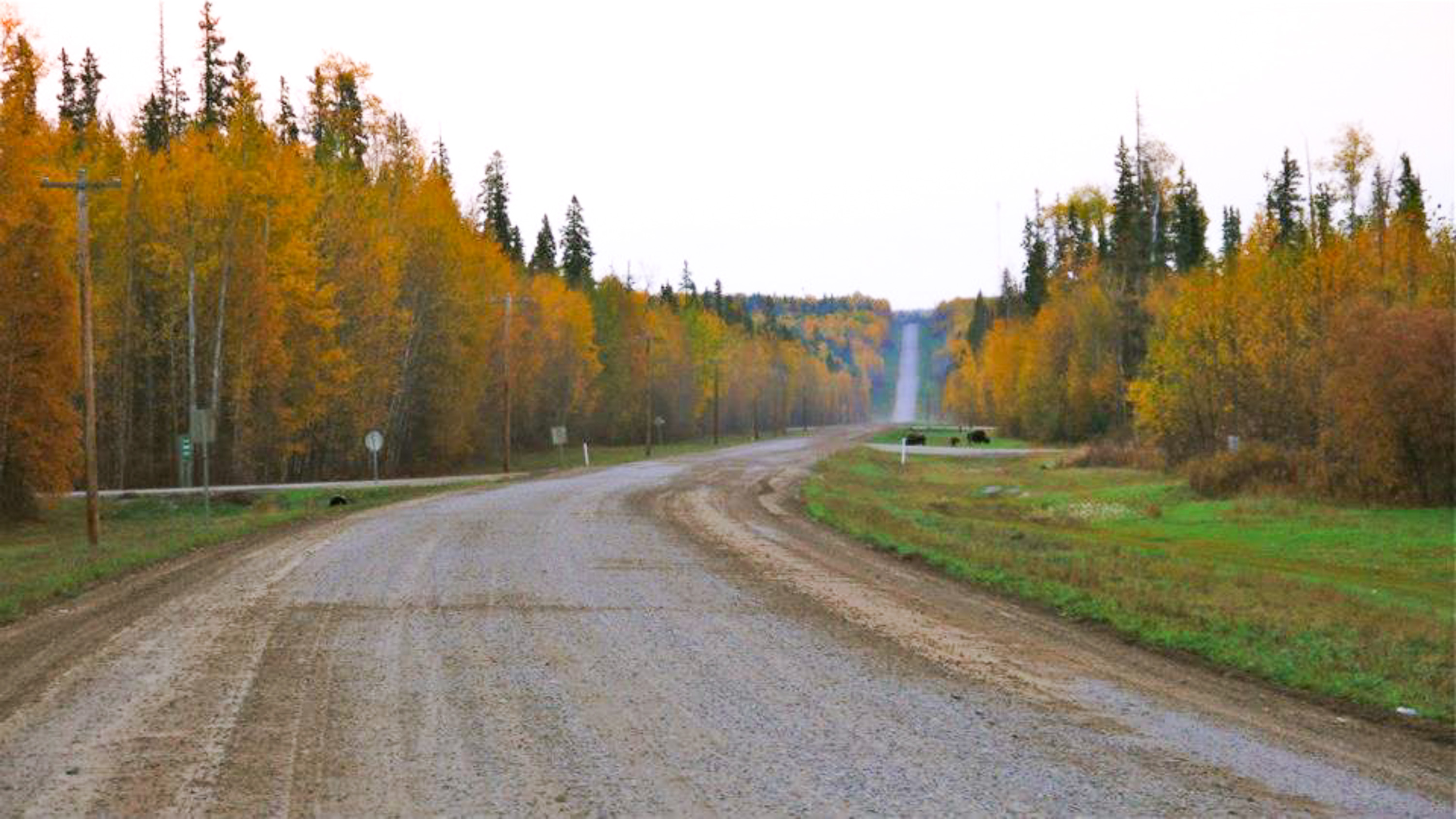 Acho Dene Koe First Nation looks to lift alcohol restrictions