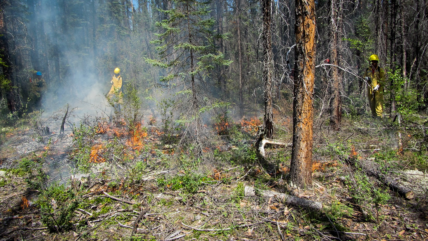 NWT aims for not a single person-caused wildfire in 2020