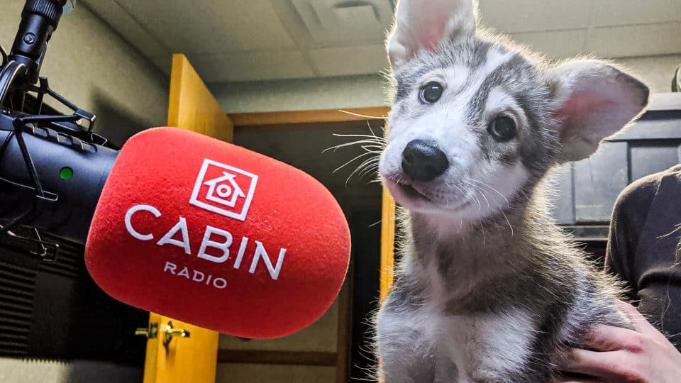 A quick way to help Cabin Radio’s FM licence application
