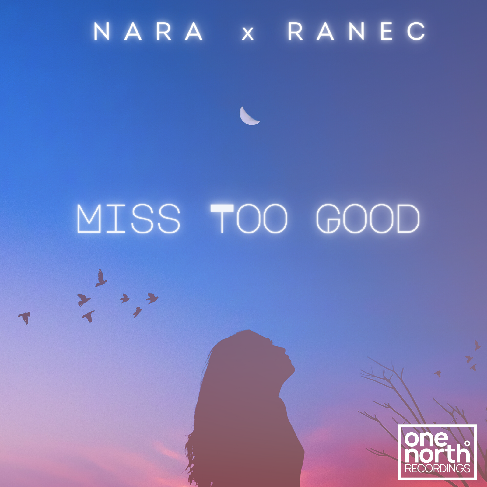 Yellowknife's Nara Dapilos releases new single with NWT label