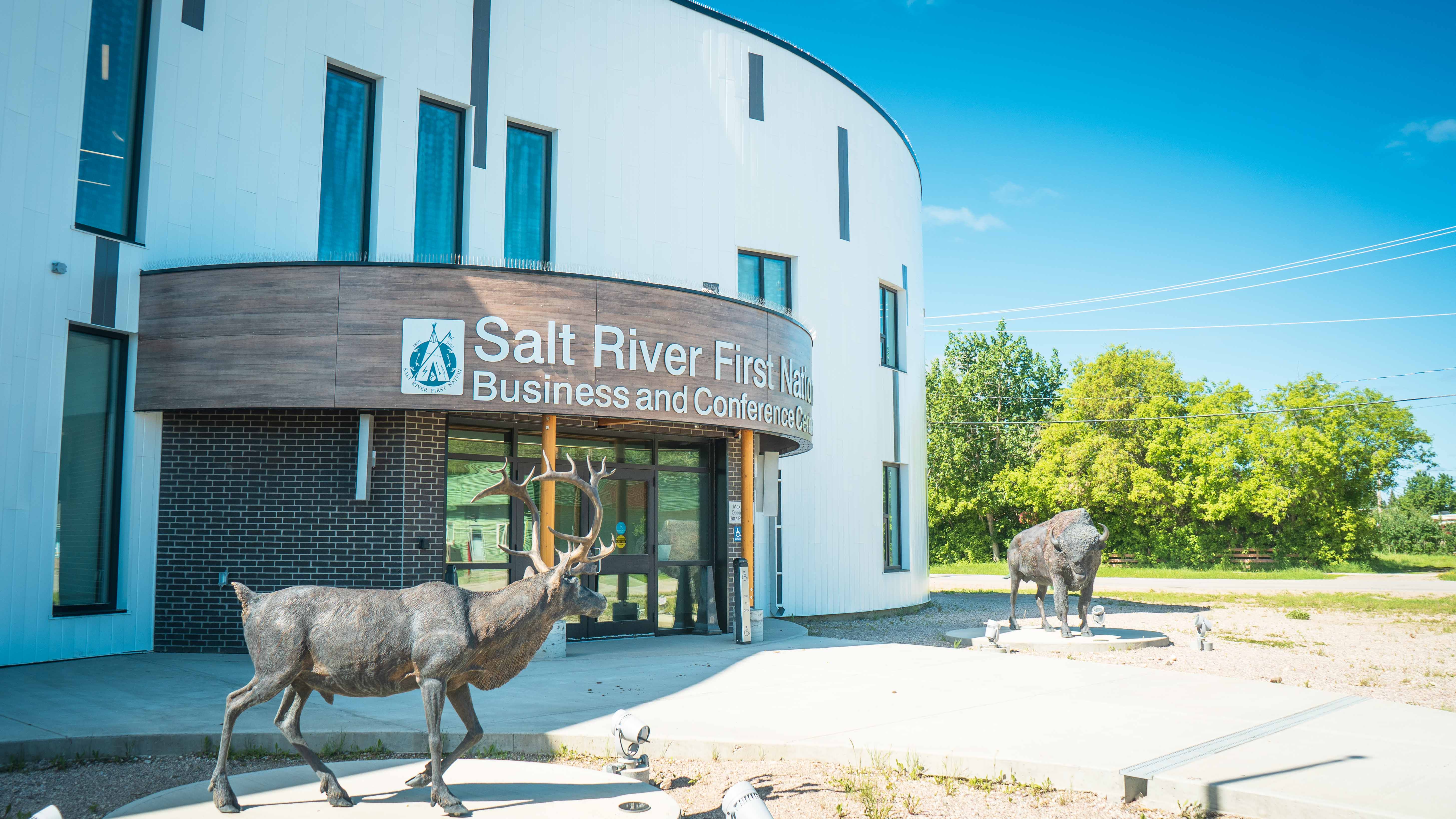 Suspension of Salt River chief procedurally unfair, court finds