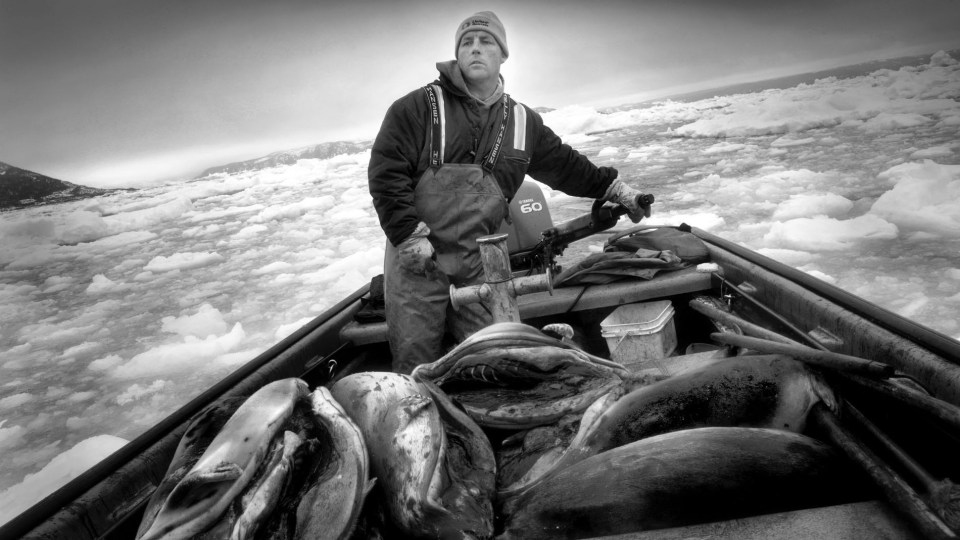 Ad campaign urges people to 'see the sustainability behind seal'