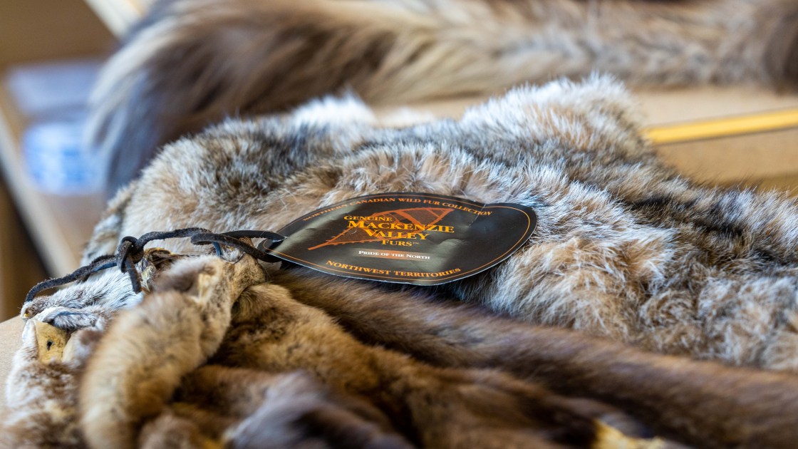 ‘Resurgent’ fur trade brushes off tariff turbulence