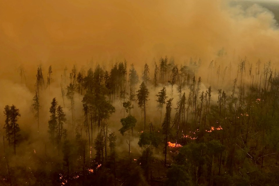 How Wood Buffalo National Park is fighting intense wildfires