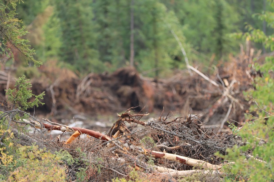 Dettah wildfire prep ‘nothing to worry about,’ First Nation says