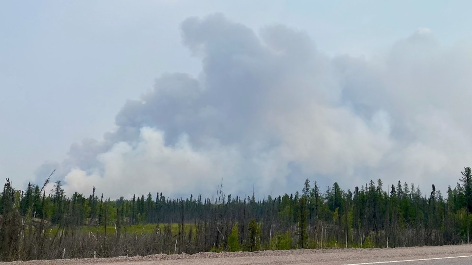 Yellowknife issues evacuation alert for some western areas