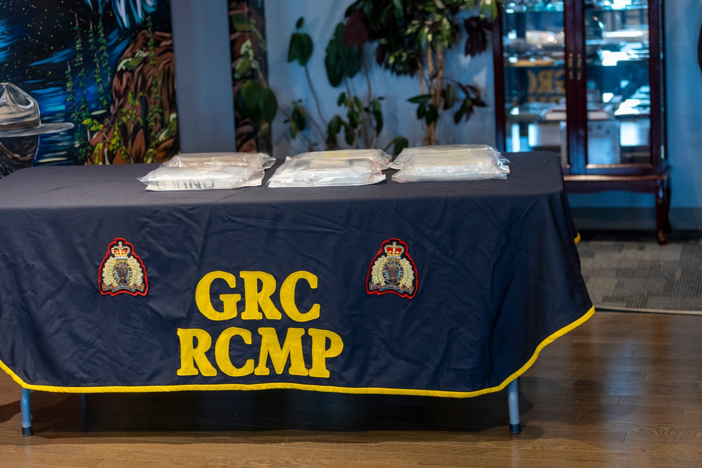 RCMP make ‘NWT’s largest cocaine seizure’ outside Behchokǫ̀