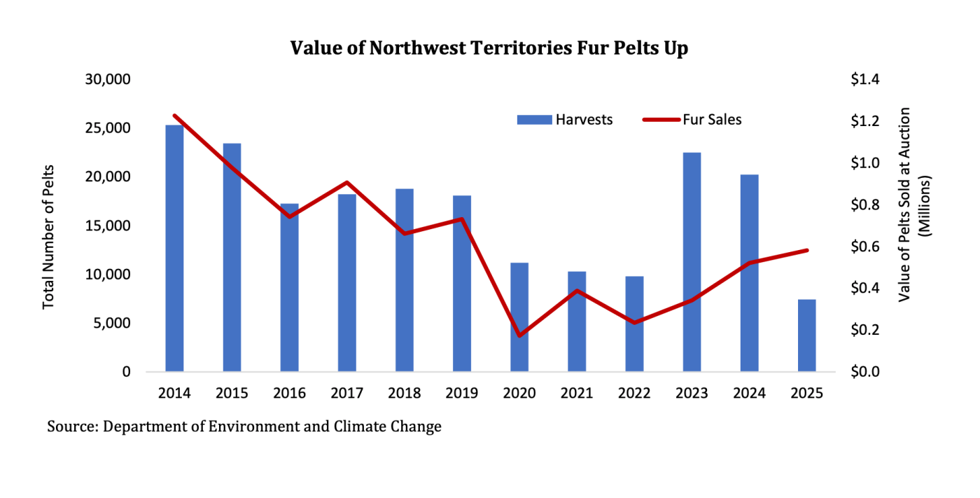 Canadian fur market experiencing ‘mini boom’
